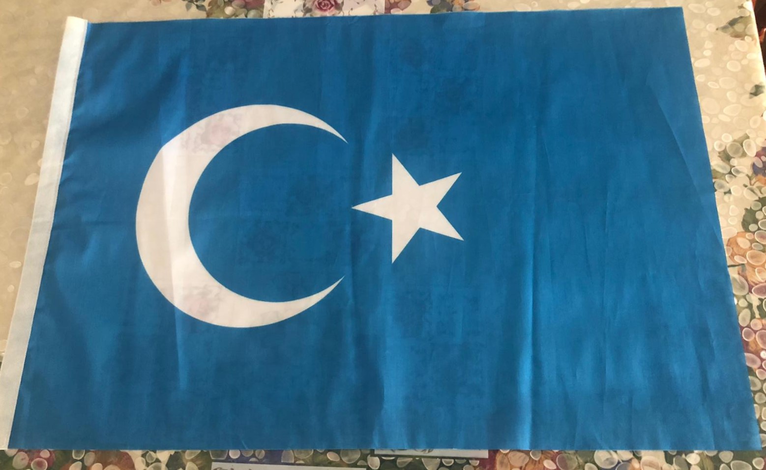 East Turkistan Flag · Uyghur Collective · Online Store Powered by Storenvy